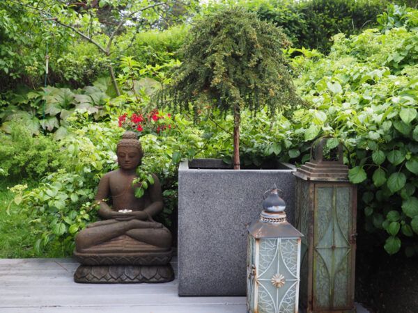 Skap en frodig krukkehage på terrassen | Hageglede.no